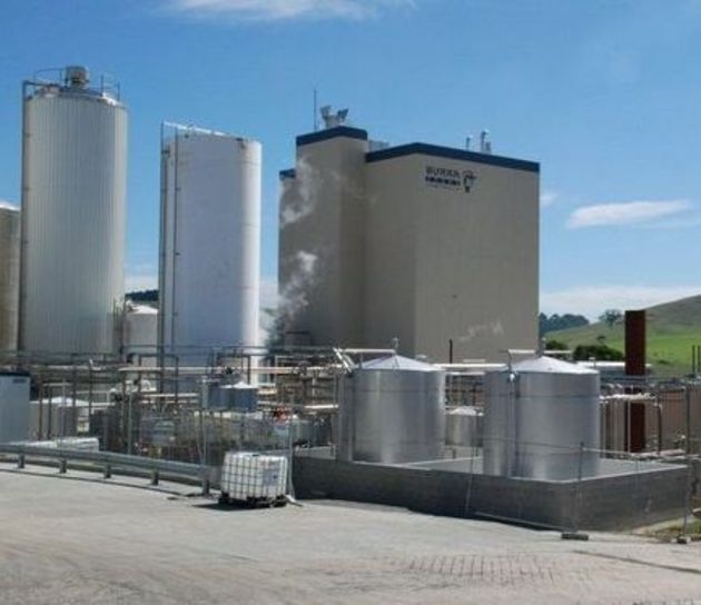 Burra Foods sells majority stake to Chinese company - Food & Drink Business