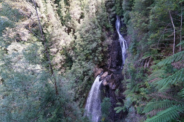Tarkine wilderness, Tassie's best kept secret - Great Walks