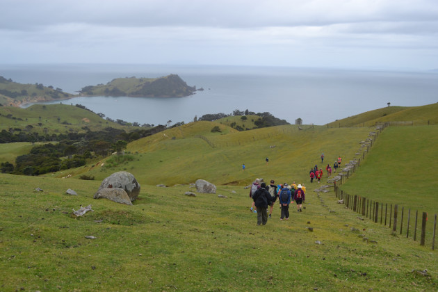 Nine days of Waiheke walking - Great Walks