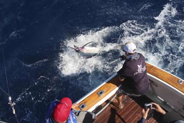 REPORT: Gamex Exmouth WA Tournament wrap up - Fishing World