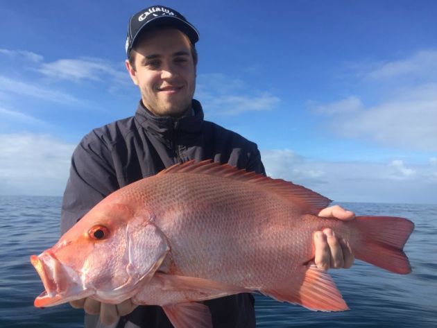 REPORT: July sees plenty of snapper in the bay - Fishing World