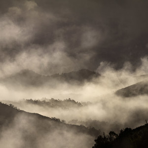 Photo Tip of the Week: Shooting in Fog (Part One) - Australian Photography