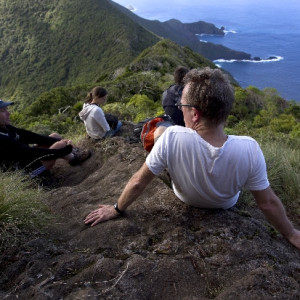 Lord Howe's Mount Gower hike is one for the books - Great Walks
