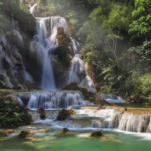 10 Essential Rainforest Photography Tips - Australian Photography