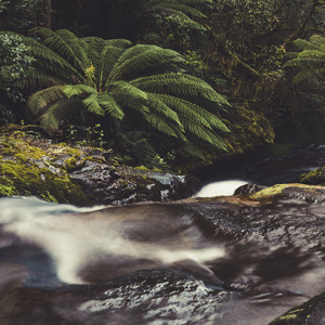 Photo tip of the week: 5 best Tassie photo locations - Australian ...