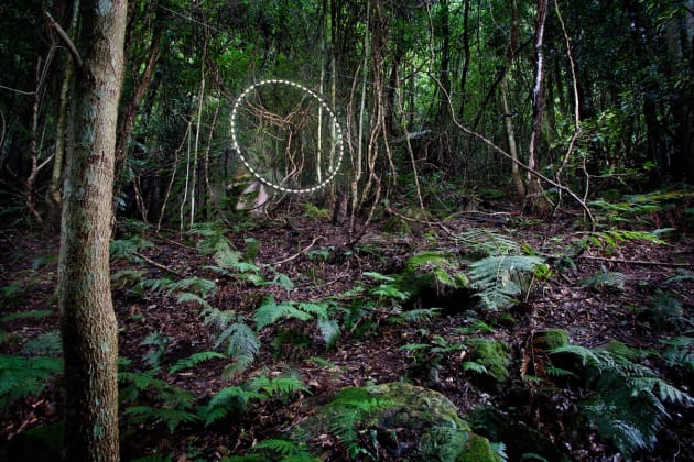 Sculpture at Scenic World proves a success - Great Walks