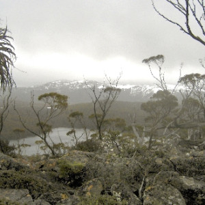 Mount Field NP offers four seasons in one day - Great Walks