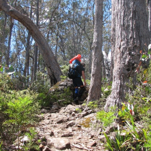 Walls of Jerusalem NP offers a right, royal adventure - Great Walks