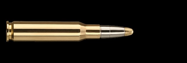 RWS ammunition – with Evolution bullet - Sporting Shooter