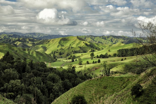 Aussie photographer captures the beauty of the bush - Great Walks