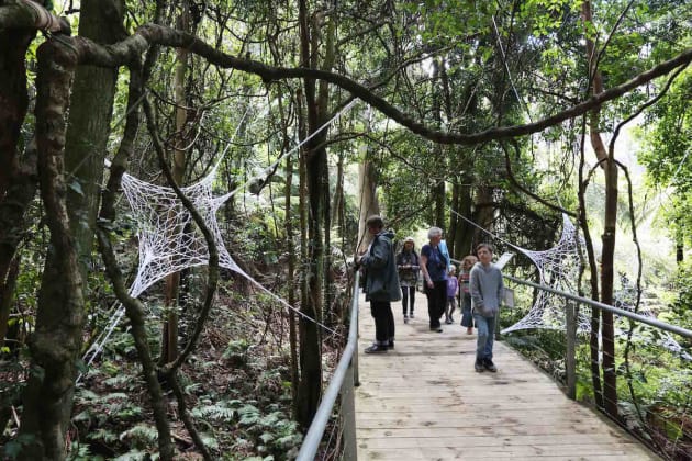 Sculpture at Scenic World proves a success - Great Walks