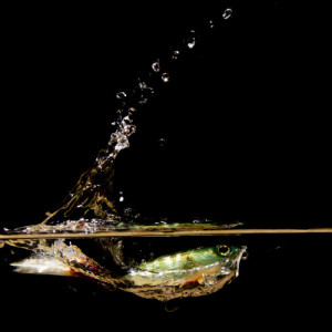 December 'Water' Comp: Winner Announced - Australian Photography