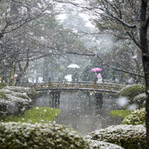 Photo Tip of the Week: How to Shoot Great Garden Images - Australian ...