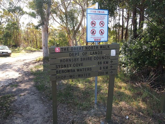 Discover the Great North Walk - Great Walks