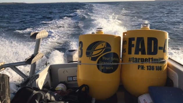 Fish aggregating devices return to Torquay for summer - Fishing World