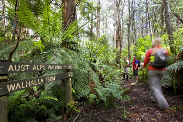 Walk of the week: Great Walhalla Alpine Trail - Great Walks