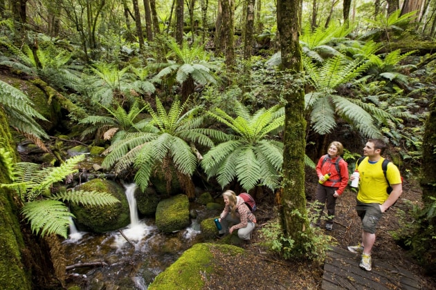 Walk of the week: Great Walhalla Alpine Trail - Great Walks