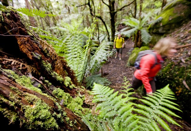 Walk of the week: Great Walhalla Alpine Trail - Great Walks