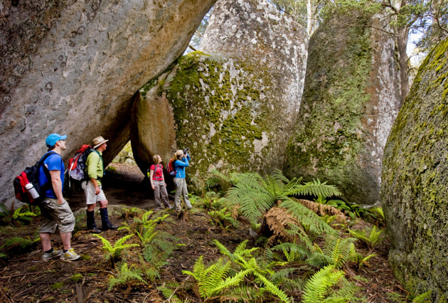 Walk of the week: Great Walhalla Alpine Trail - Great Walks
