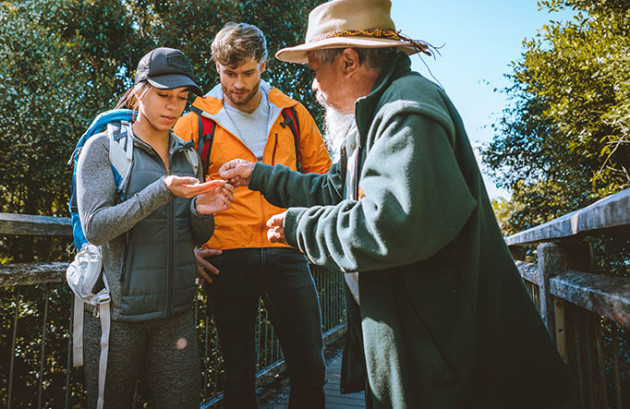 NPWS celebrates Gondwana Rainforests of Australia milestone - Great Walks