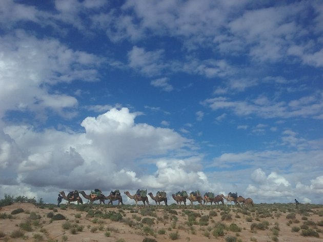 Hike with camels in the Flinders Ranges - Great Walks