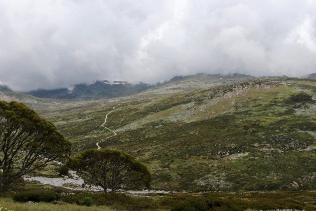 The first of 11 Kozi huts destroyed by bushfire rebuilt - Great Walks