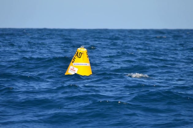 NSW FAD season gears up - Fishing World