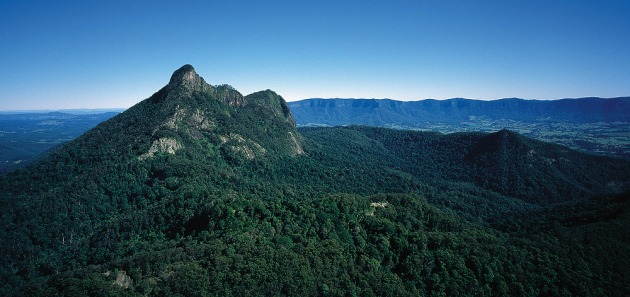 Petition launched to reopen Mt Warning Summit Track - Great Walks