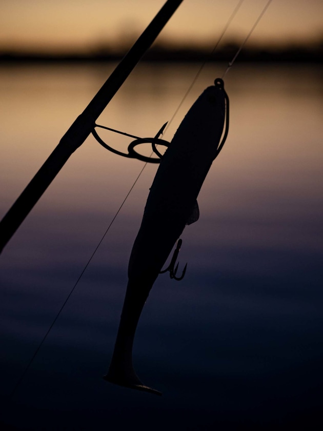 Croc Bait: How to use big lures for giant flathead - Fishing World