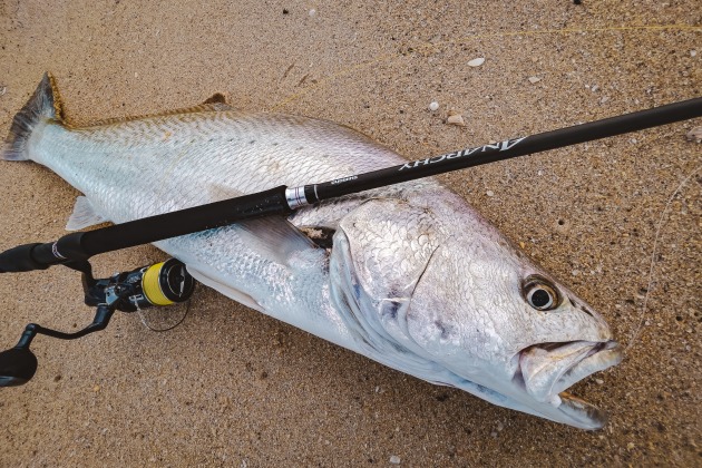 Lure fishing the beach - Fishing World