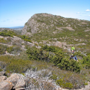 Walls of Jerusalem NP offers a right, royal adventure - Great Walks