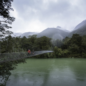 Hollyford Track showcases the best of Fiordland - Great Walks