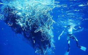 5 Gyres counts the plastic in our oceans - PKN Packaging News