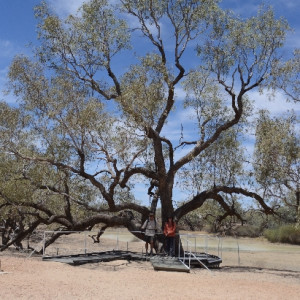 Charity walk follows in the footsteps of Burke and Wills - Great Walks