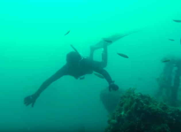 VIDEO: EXHALE Free Diving visual treat - Great Walks
