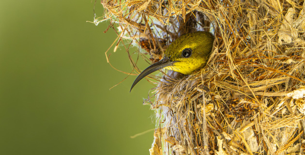 Fantastic files: An easy Lightroom workflow for photographers ...