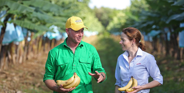 Coles to work with suppliers on new Scope 3 targets - Food & Drink Business