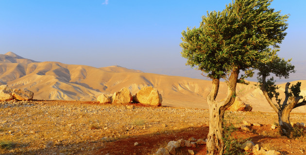 Video: How to deal with boring skies in landscape photography ...