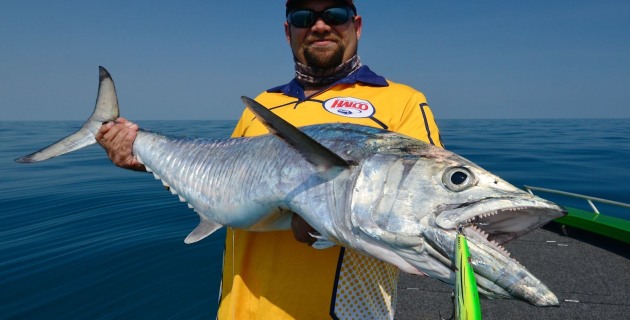 Spanish mackerel: BIA, AFTA making representations to Fisheries ...