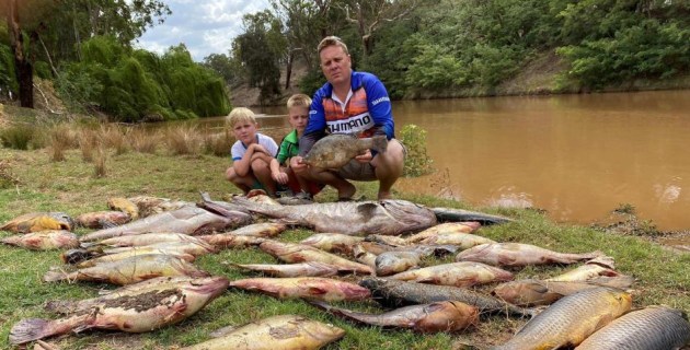 Drought and fire raise extinction risk in latest fish kills - Fishing World