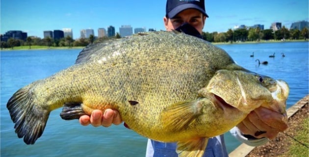 Victorian Recreational Fishing Tourism Strategy released - Fishing World