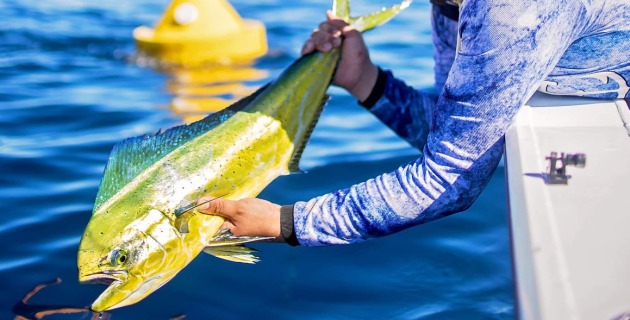 Perth metro FADs deployed - Fishing World