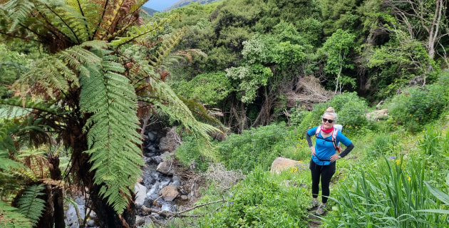 The beauty of NZ's Banks Track - Pt II - Great Walks