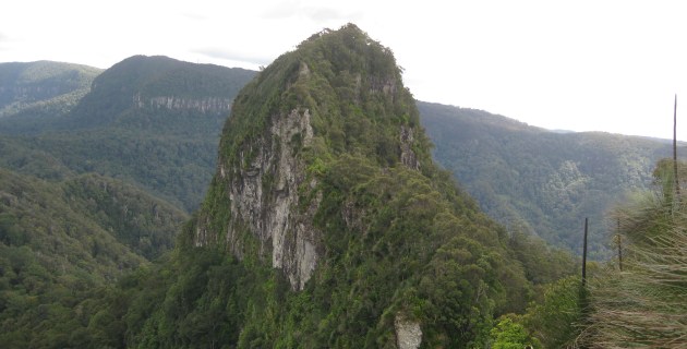 Experiencing the ancient beauty of Springbrook NP - Great Walks