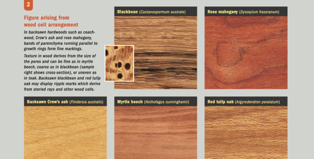 Figure in wood - Australian Wood Review