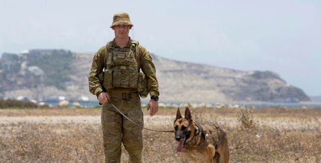 Request for Tender issued for Land 8140 - Australian Defence Magazine