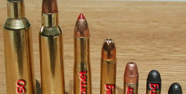 LIL'GUN In The .22 Hornet - Sporting Shooter