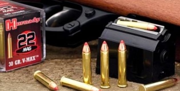 Magnumising The .22 Magnum - Sporting Shooter
