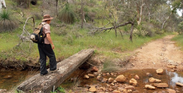 Ramble among streams and wildflowers at Clackline, WA - Great Walks