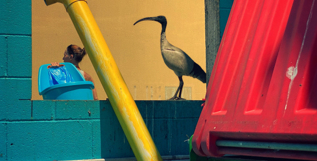 Australian photographer takes out global Mobile Photography Awards ...